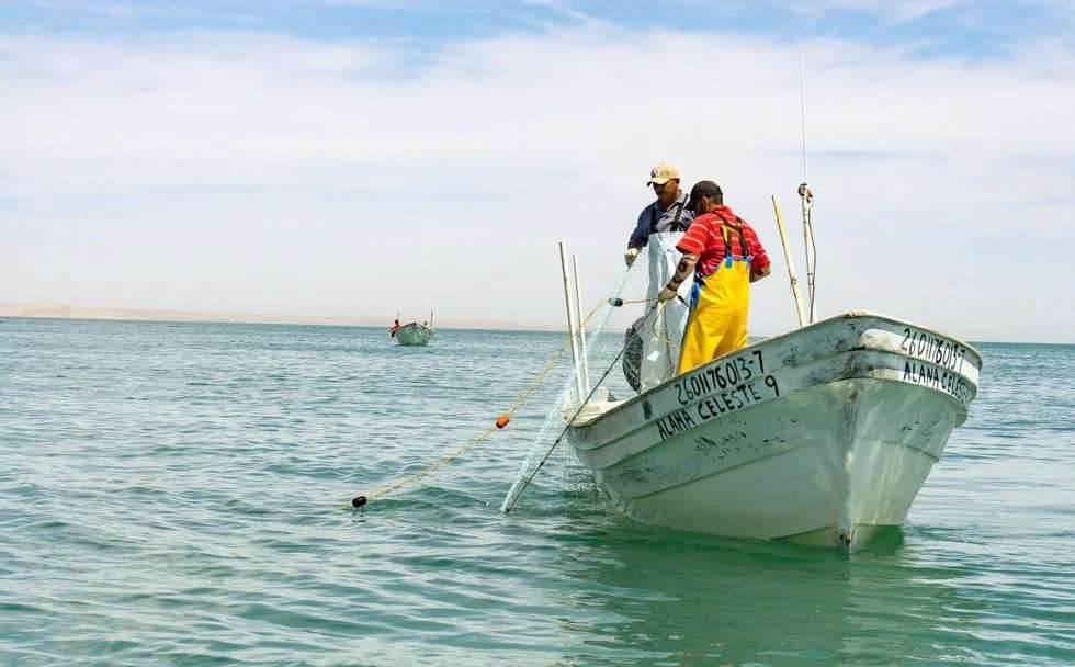 Comienza en méxico la temporada de pesca | La Opción de Chihuahua