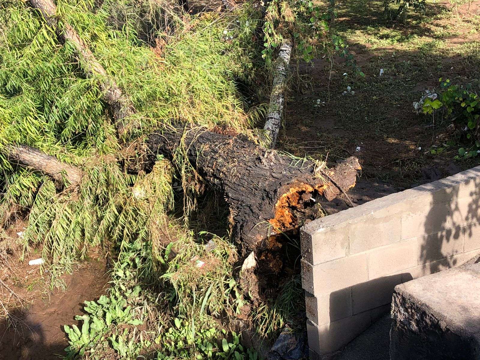 Nace súper socavón tras el tormentón | La Opción de Chihuahua