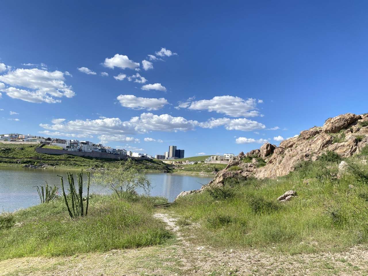 Siguen sin adaptarse con la nueva normalidad en el rejón | La Opción de ...