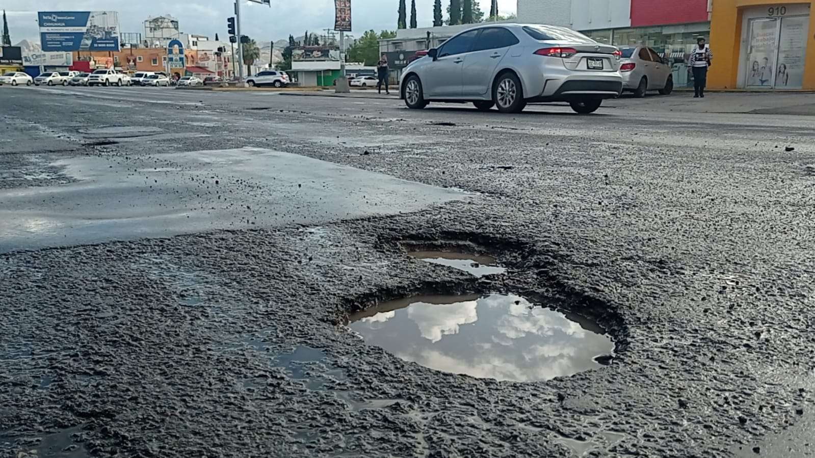Brotan baches tras aguaceros | La Opción de Chihuahua