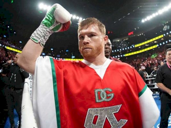 Revela Canelo Álvarez la razón que lo alejará del boxeo | La Opción de ...