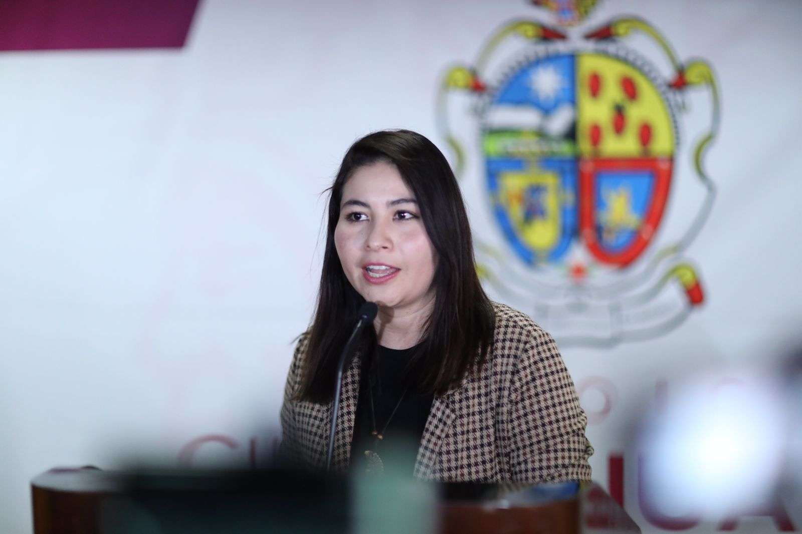 Presentan a nueva directora de Relaciones Públicas del Municipio | La ...