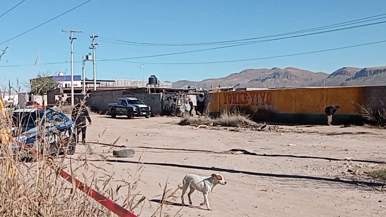 Continúa en análisis el cuerpo localizado desmembrado | La Opción de ...