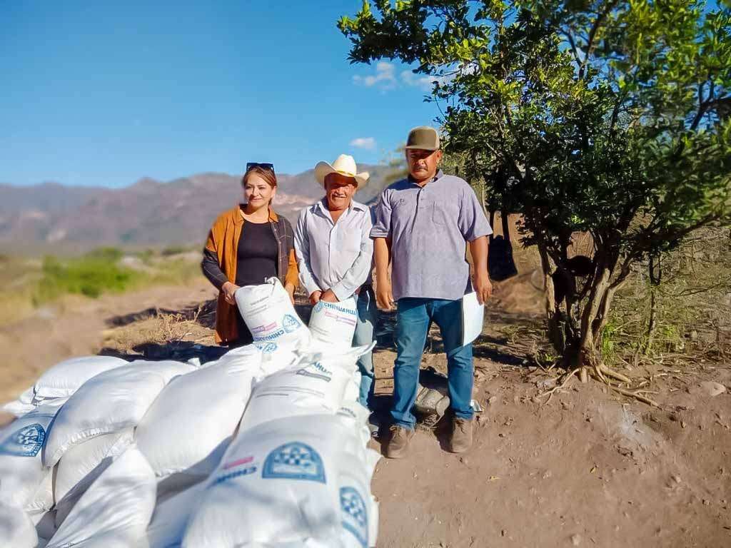 Entregan 180 paquetes de alimentos en 7 pueblos de Moris | La Opción de ...