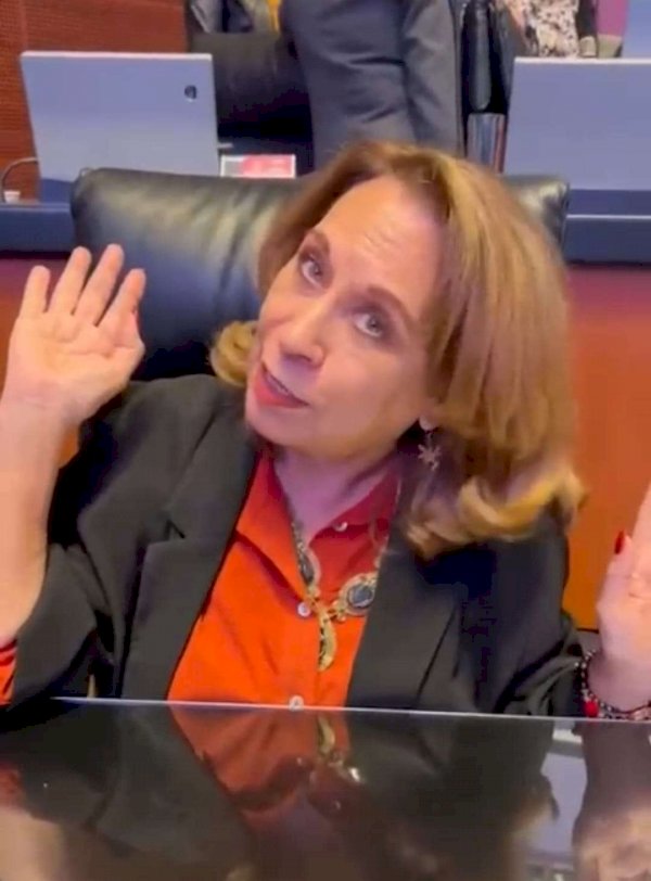 El INE sí se toca y soporten: senadora Bertha Caraveo | La Opción de ...