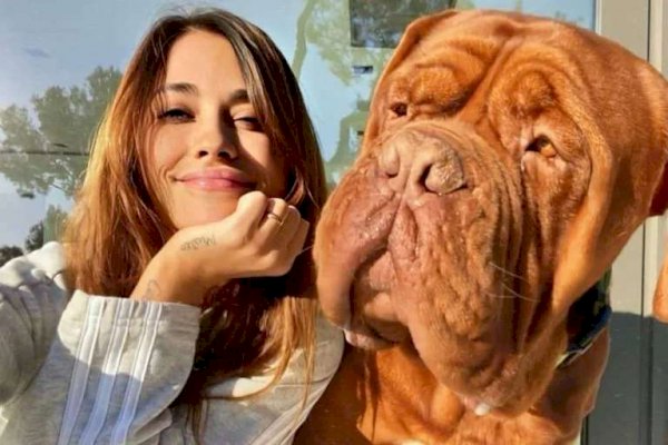 Compartió la foto más tierna de su perro Hulk y le hizo un enfático ...