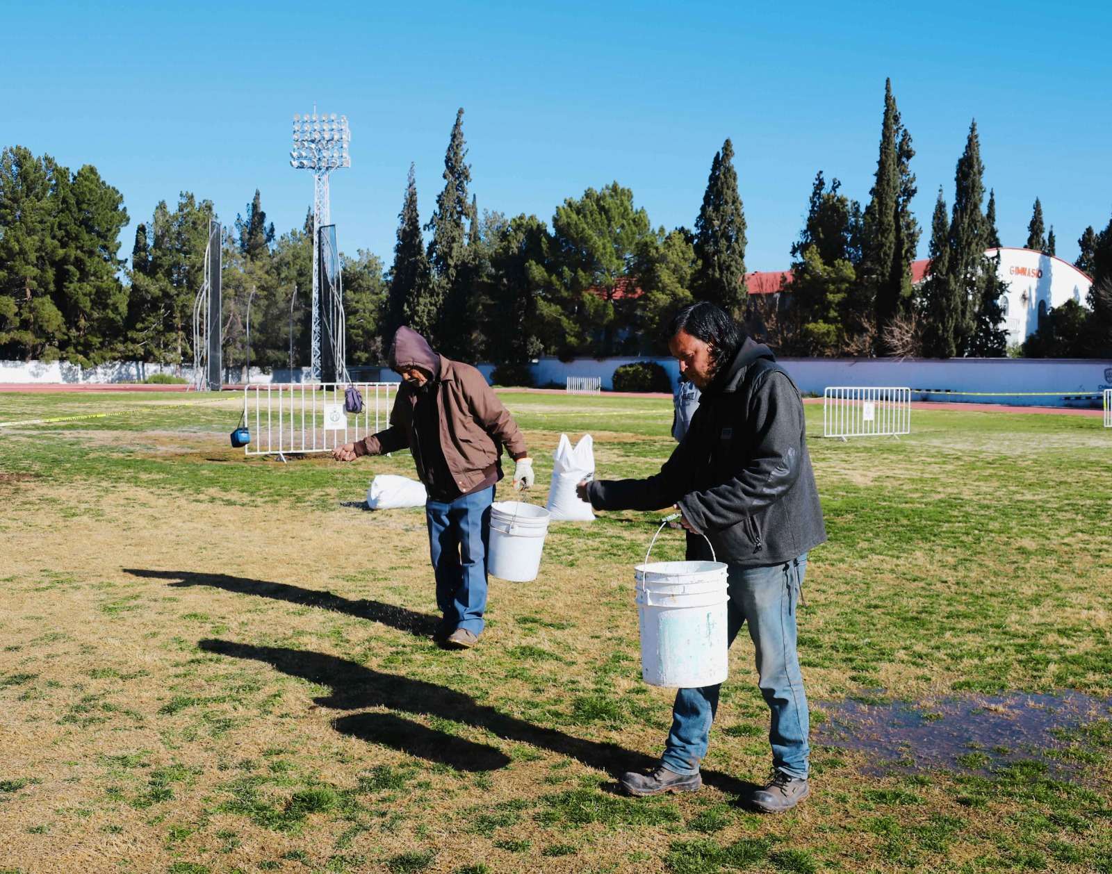 Reforestan con 140 pinos y siembra de pasto la Deportiva | La Opción de ...