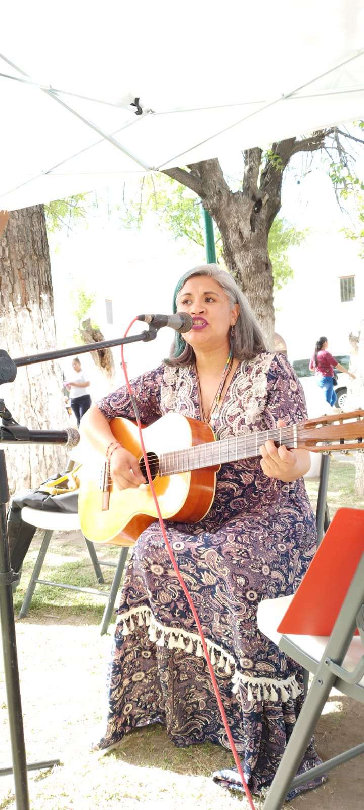 Cierre espectacular de Peña Folclórica a Cielo Abierto en Casas Grandes ...