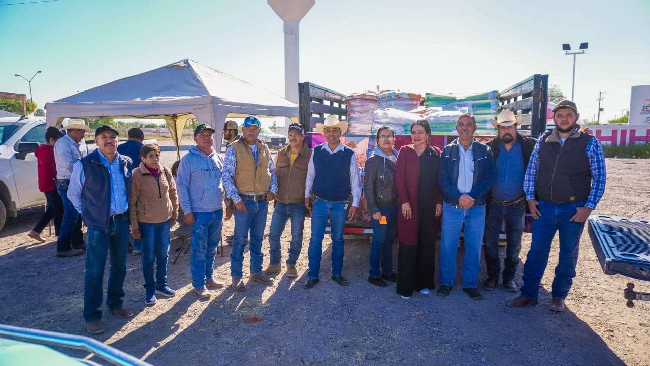 Entregan en Meoqui semilla de alfalfa para sembrar más de 70 hectáreas ...
