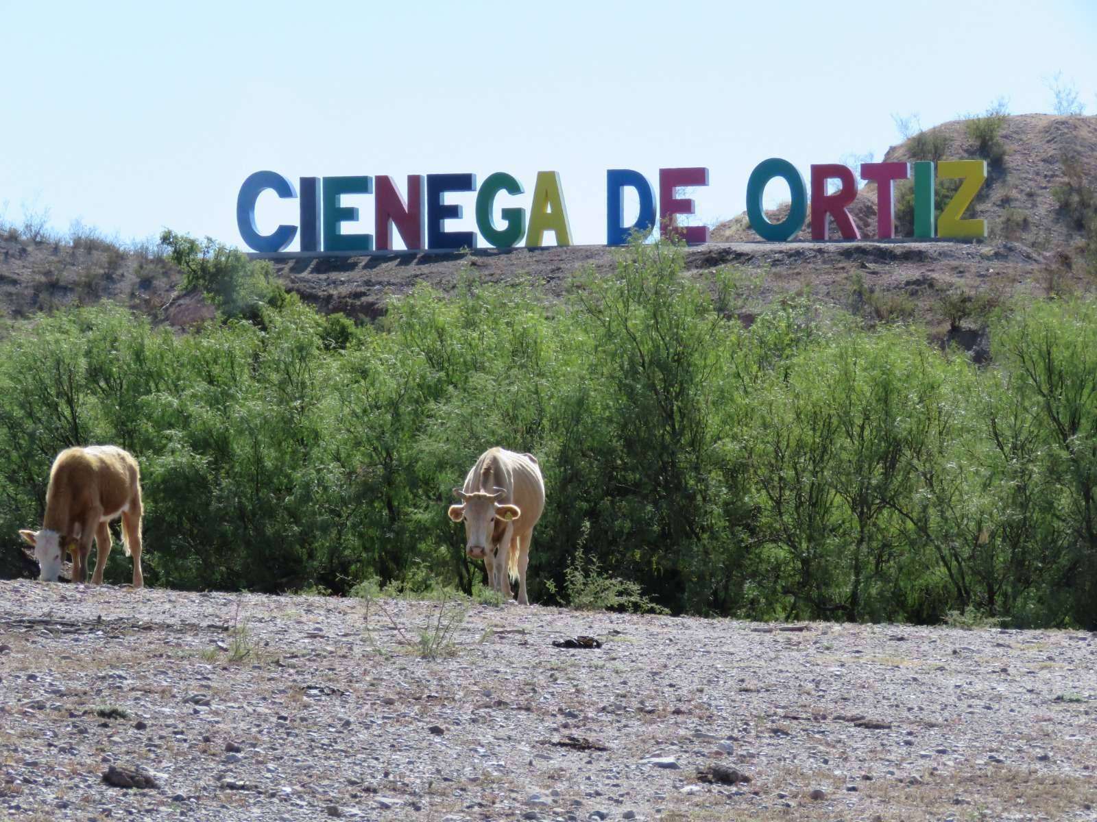 Instalan letras de identidad en el Seccional de Ciénega de Ortiz | La ...