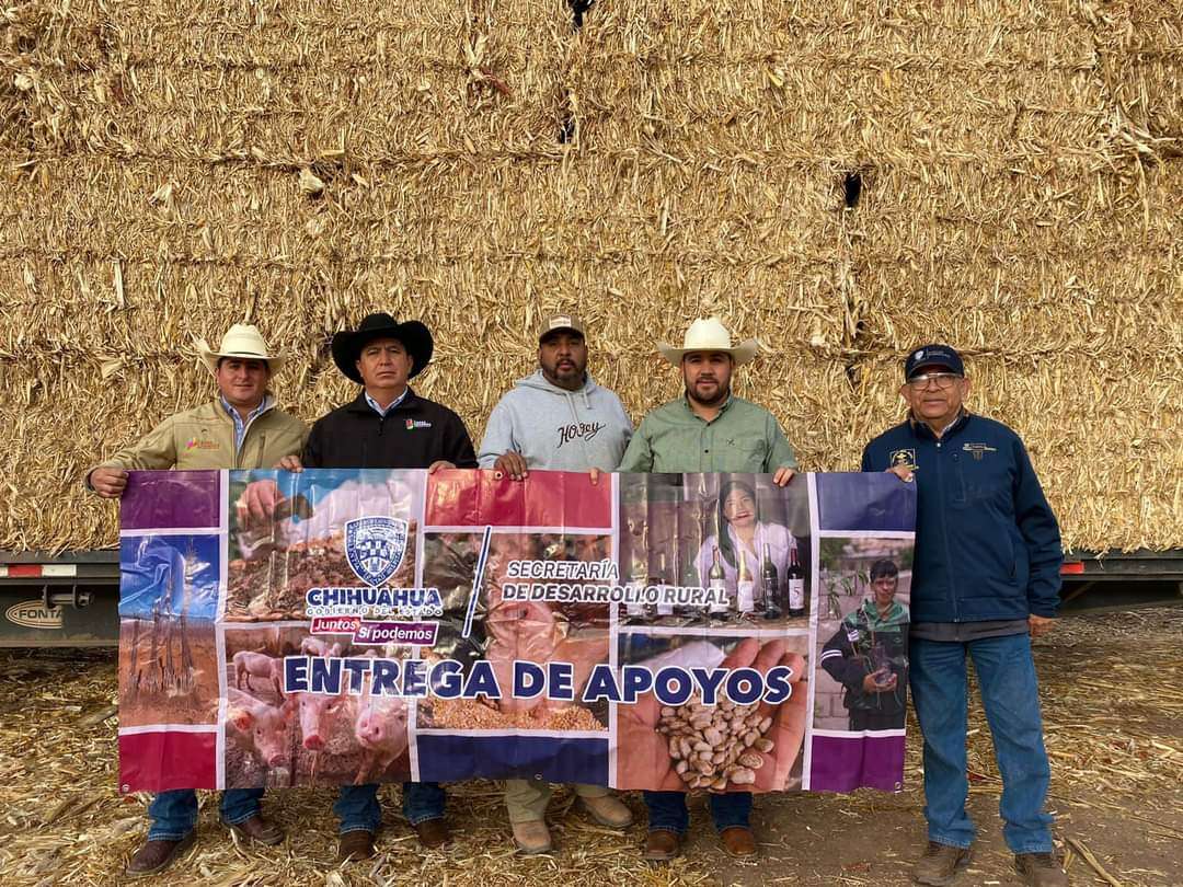 Entregan 440 pacas de rastrojo de maíz a agricultores | La Opción de ...