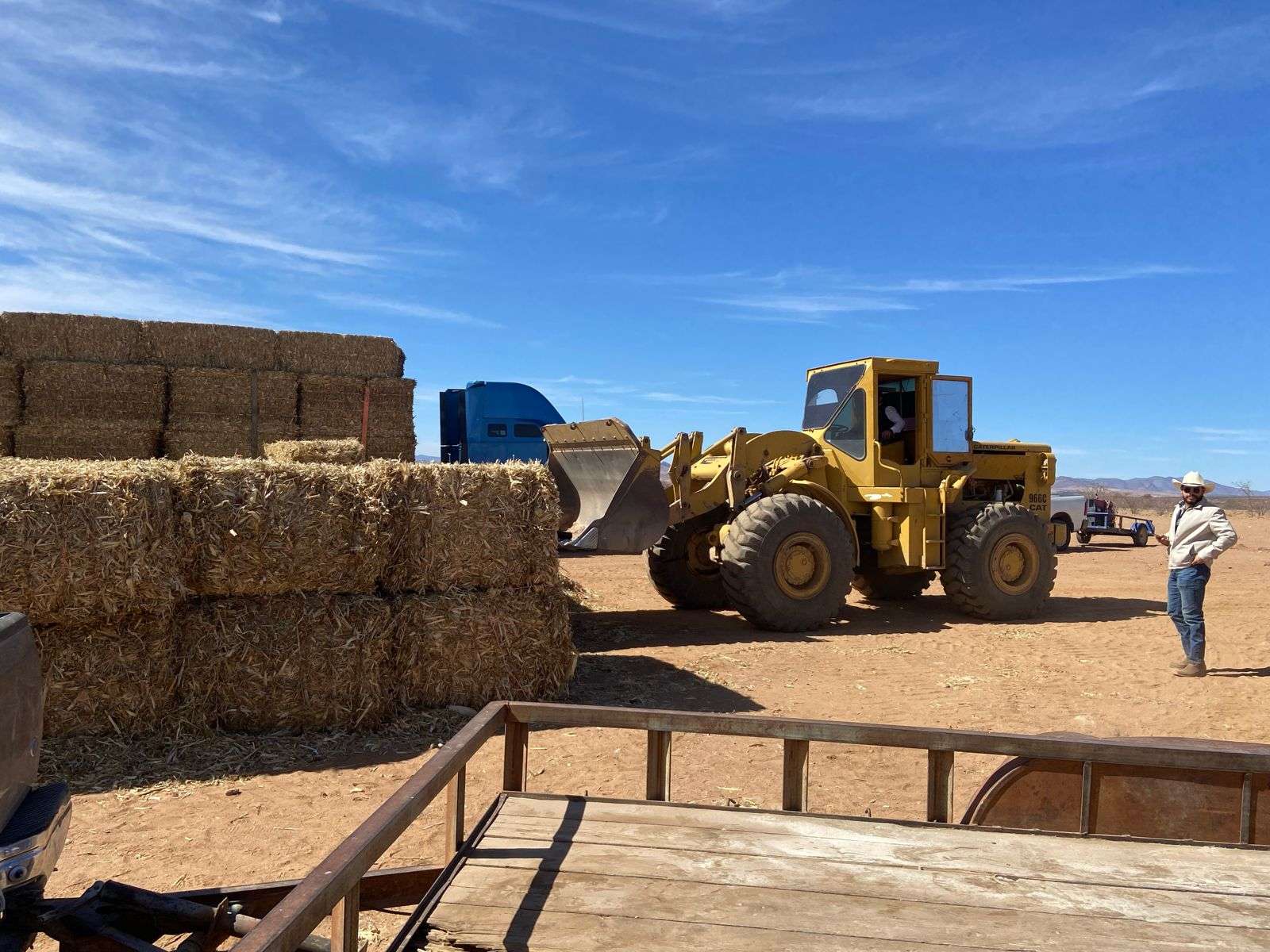 Entregan apoyo de mil pacas de rastrojo a ganaderos de Colonia Soto ...
