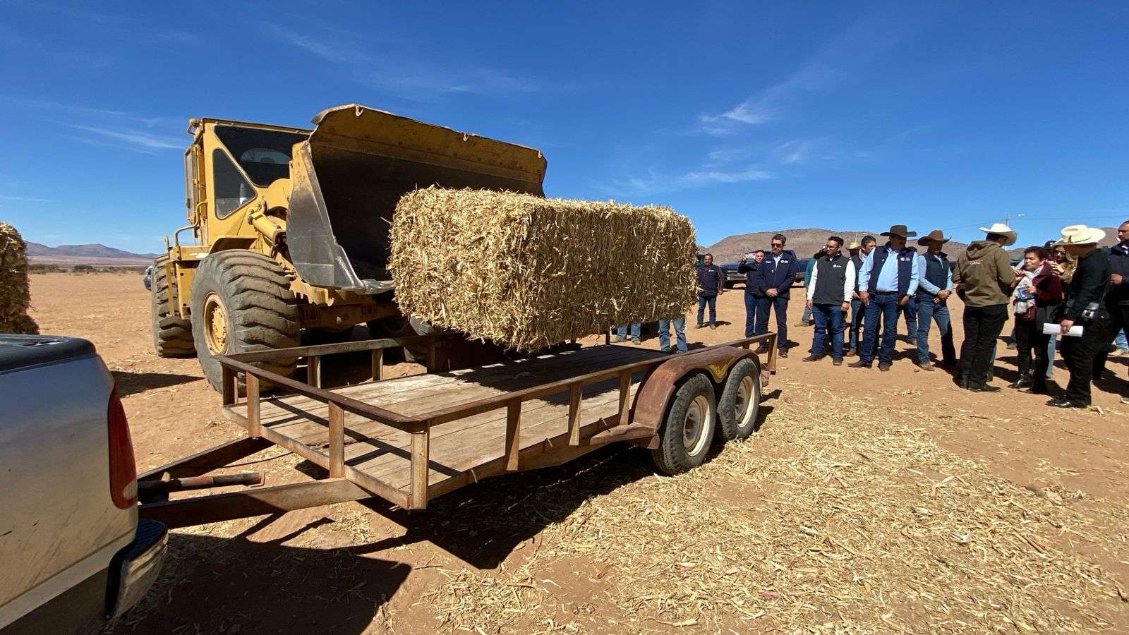 Entregan apoyo de mil pacas de rastrojo a ganaderos de Colonia Soto ...