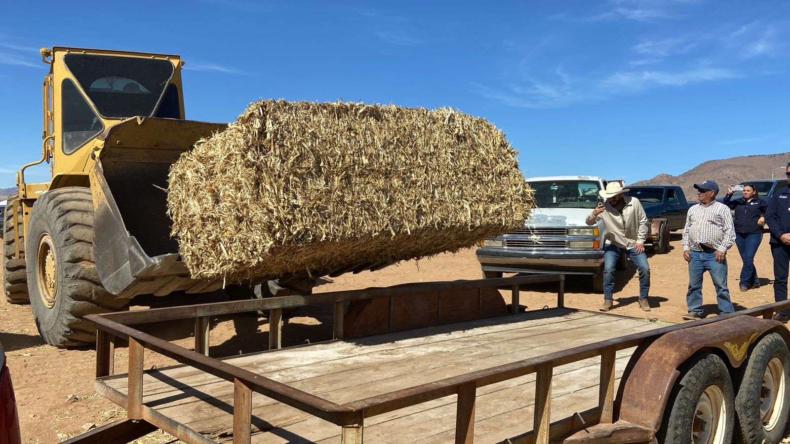Entregan apoyo de mil pacas de rastrojo a ganaderos de Colonia Soto ...