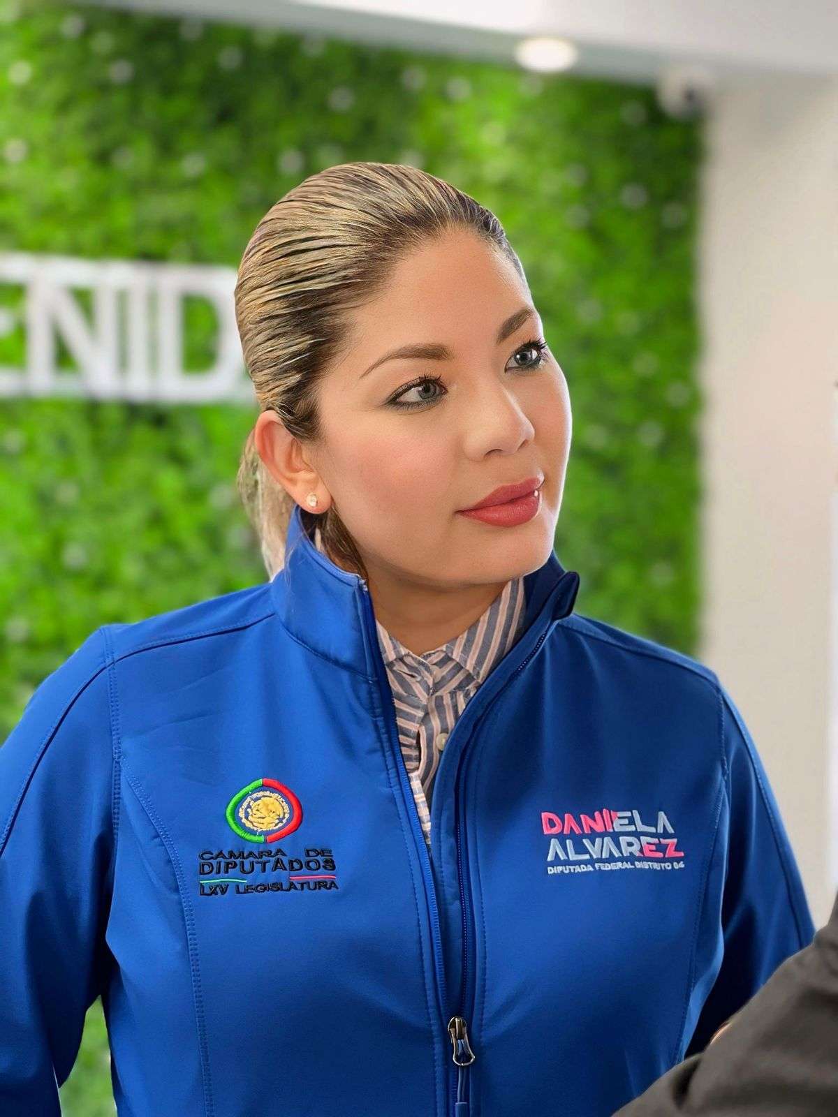 Agravio para Chihuahuenses postulación de Corral al Senado: Daniela ...