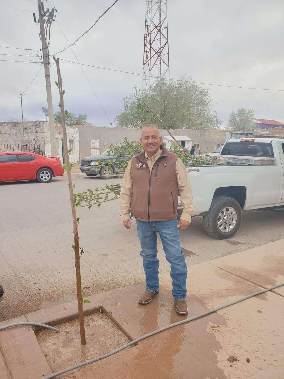Plantan árboles en plaza principal de Puerto palomas de Villa | La ...