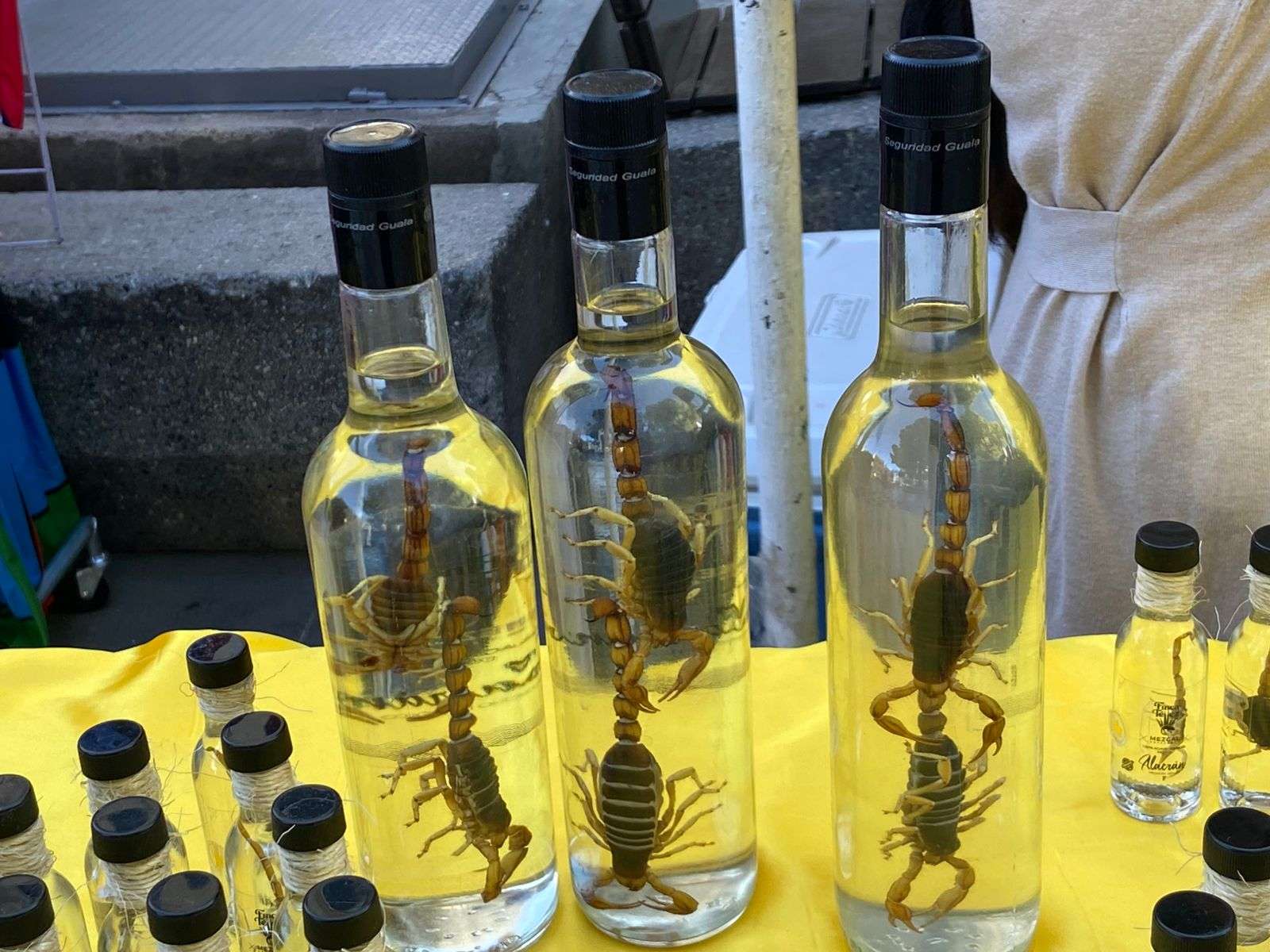 Ofrece mezcal con alacrán elaborado de manera artesanal | La Opción de ...