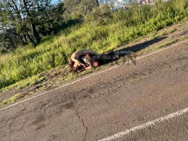 Identifican a los 5 ejecutados hallados en la carretera Temósachic-Madera | La Opción de Chihuahua