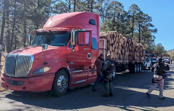 Aseguran tráiler cargado de madera en Guachochi | La Opción de Chihuahua