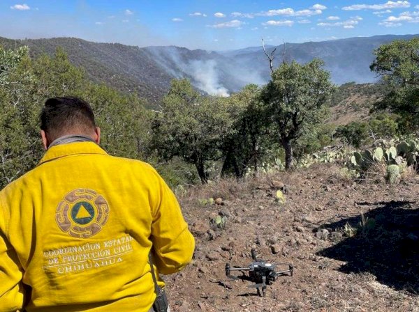 Reportan 9 incendios forestales activos en Chihuahua | La Opción de ...