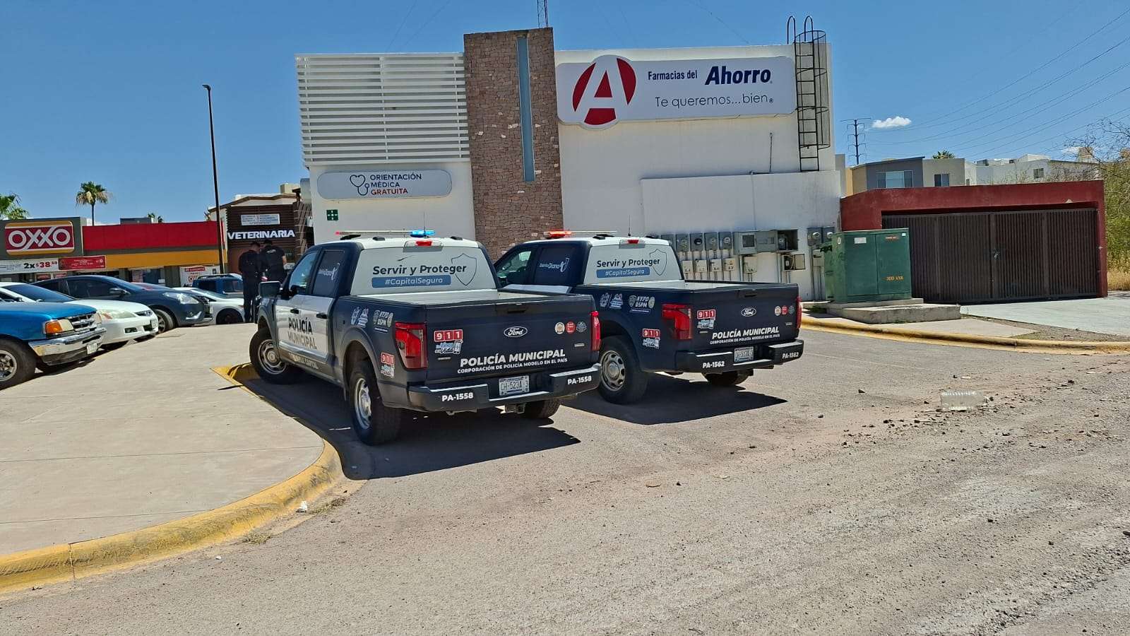 Dejan cartucho de cuerno de chivo en farmacia de la Tomás Valles | La ...