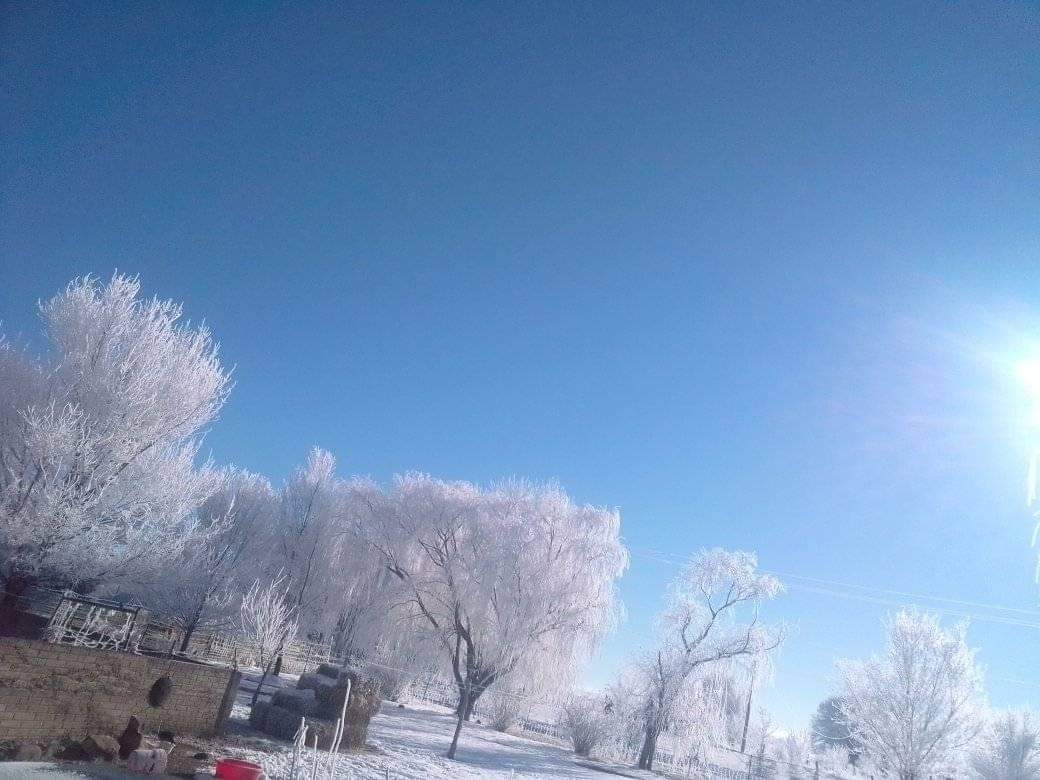 Deja nevada bellas postales en cuauhtémoc | La Opción de Chihuahua